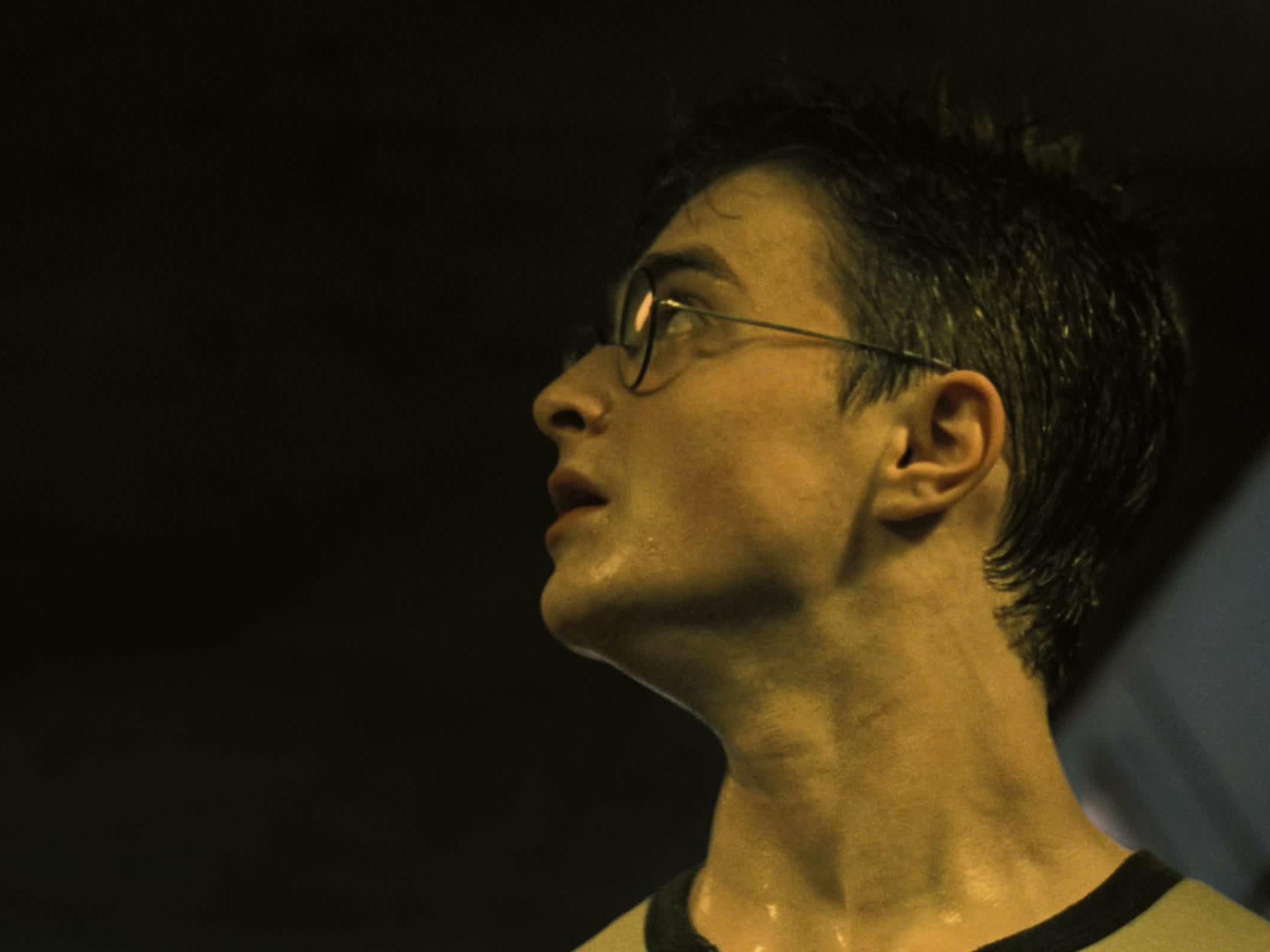 Dudley, run. - Harry Potter and the Order of the Phoenix | Clip.Cafe
