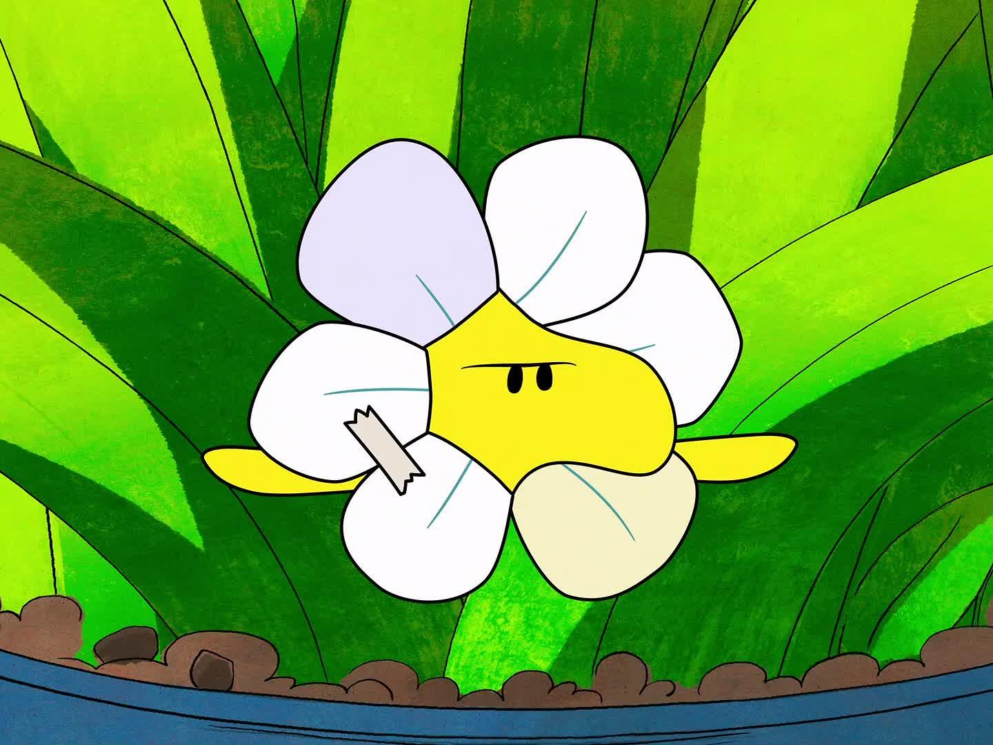 "Hello, little bird. How are you today? Shh. Who are you talking to ...