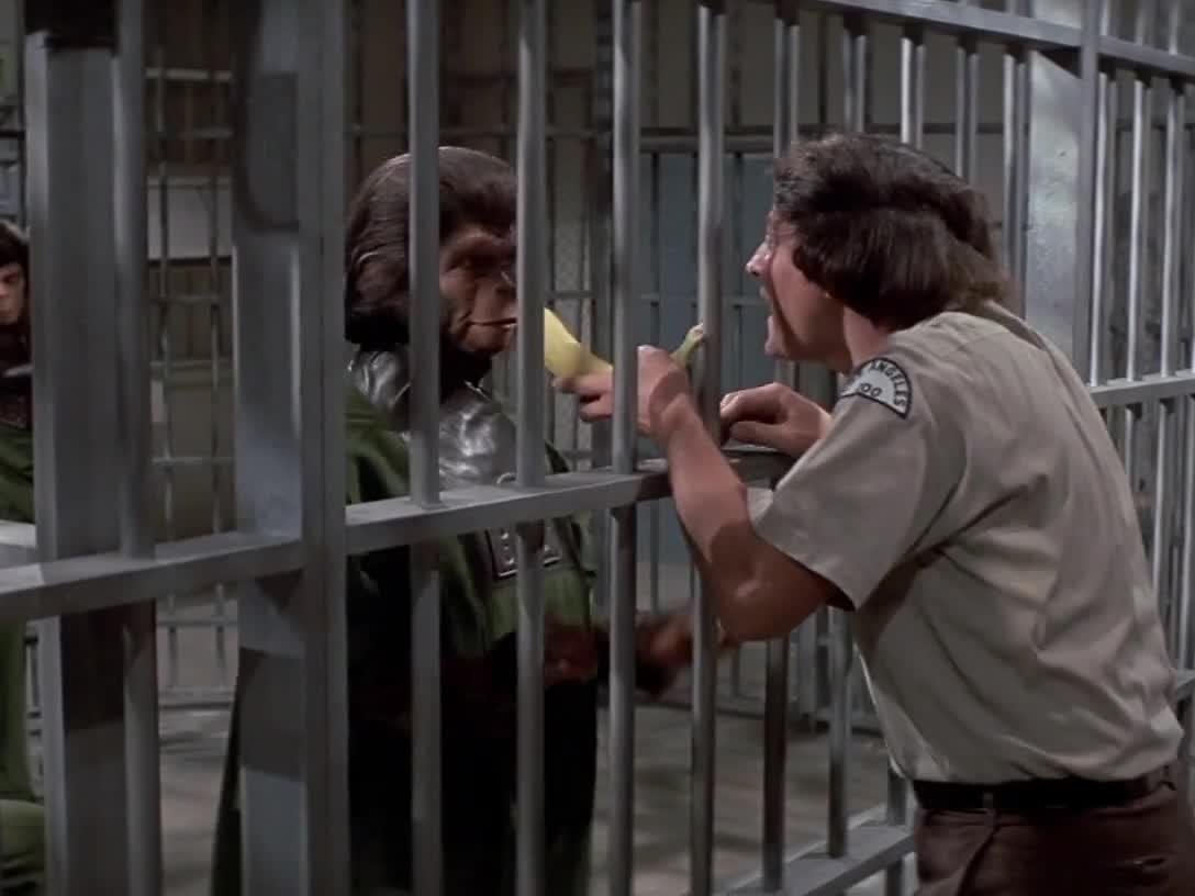Hello, missy.Have a banana. Have it your own way, mate. - Escape from ...