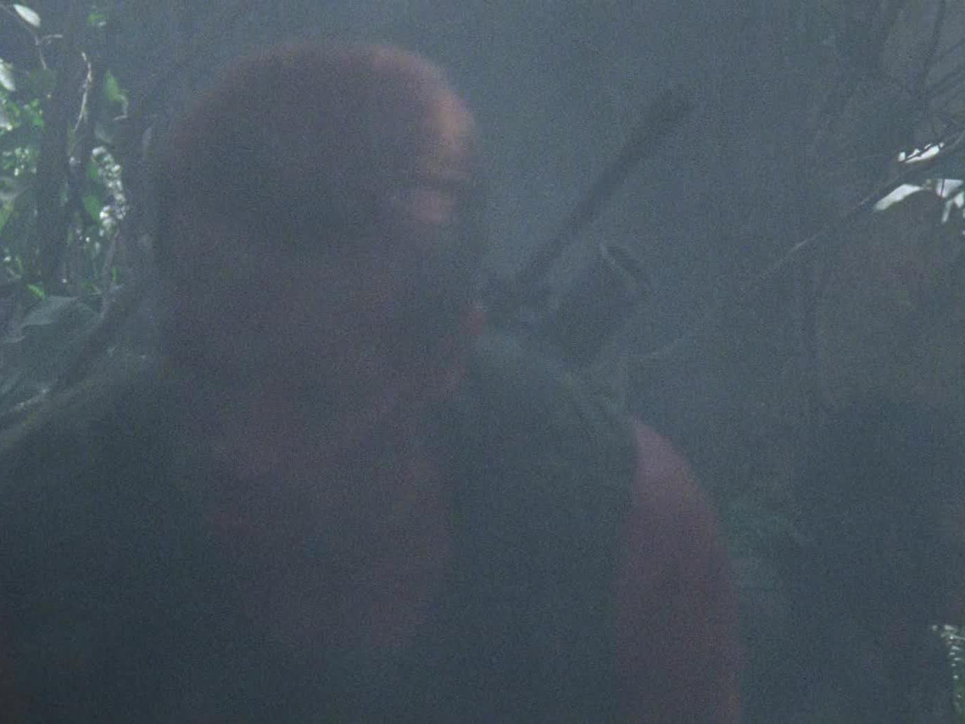 Hey, Dillon. Thanks! Anytime... - Predator | Clip.Cafe