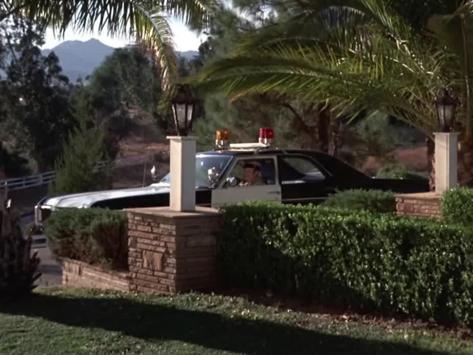 How could you have done such a thing? Roger! Somebody's coming! No. You ...