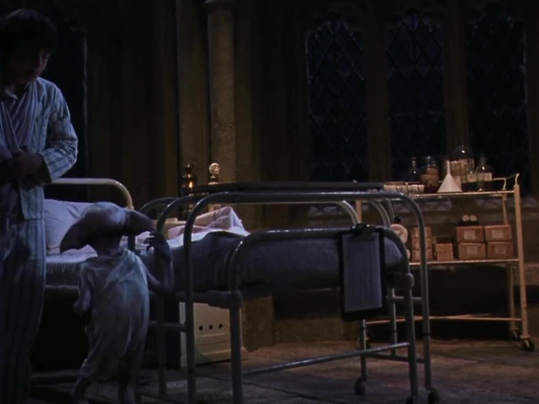 Hello! Dobby? Harry Potter should have listened to Dobby. Harry Potter ...
