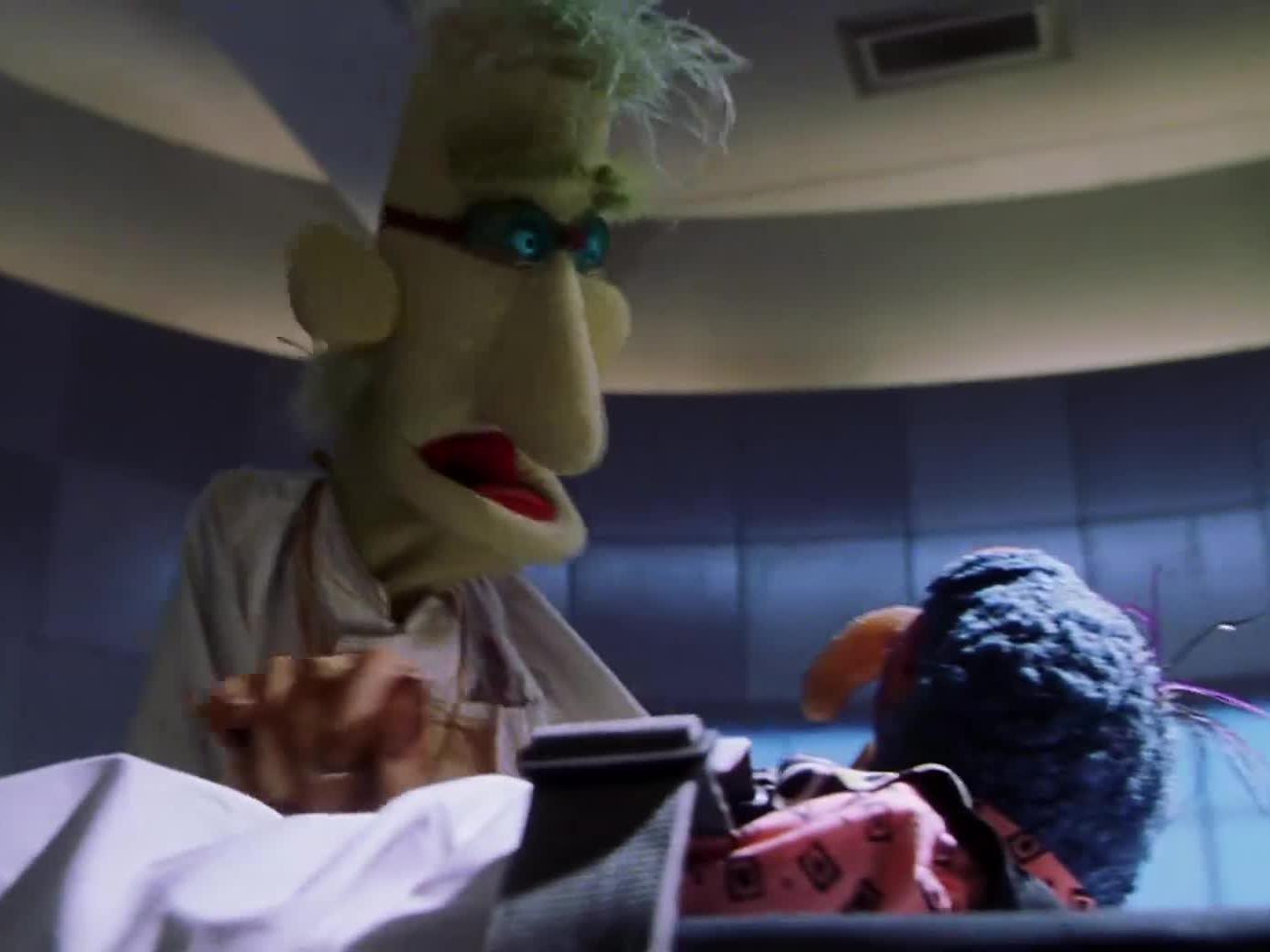 Hello, I'm Dr. Van Neuter. I'll be your brain surgeon today, if you don ...