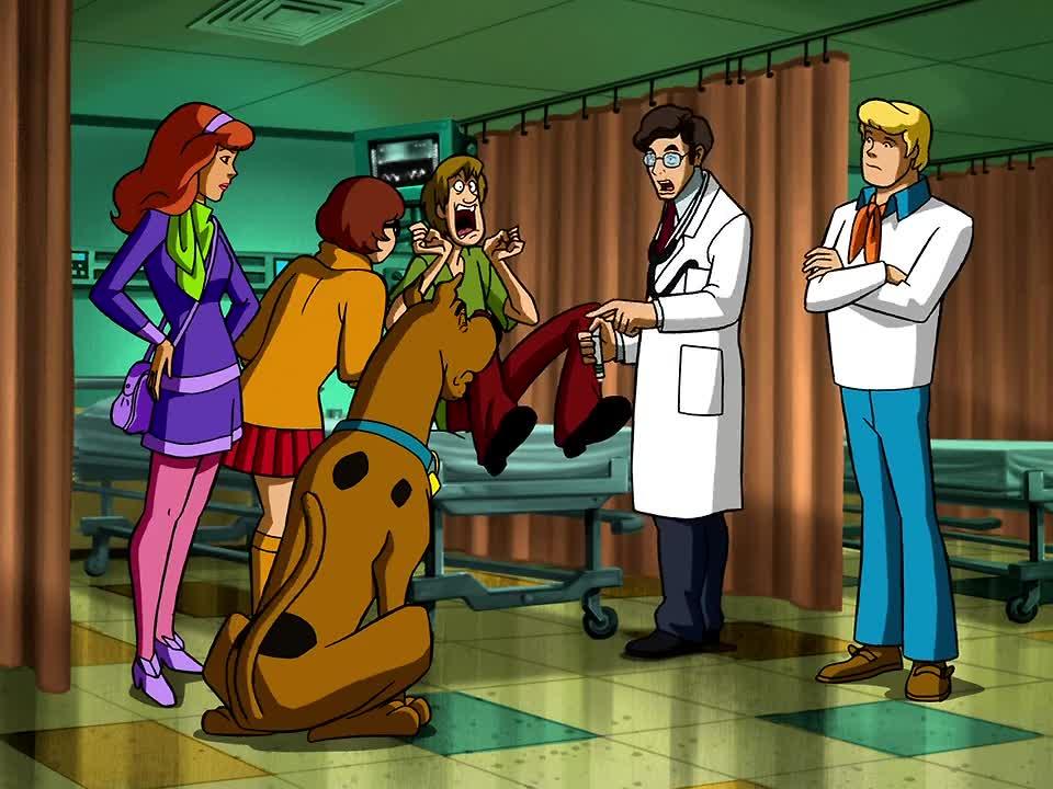 Is that a dog? Broadly speaking, yes. You can't have a dog in the ER ...