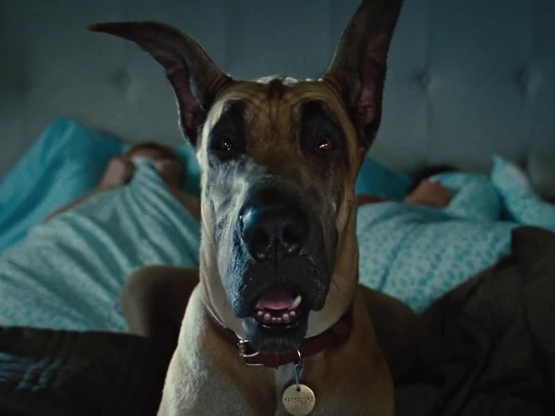 It never gets old - Marmaduke | Clip.Cafe