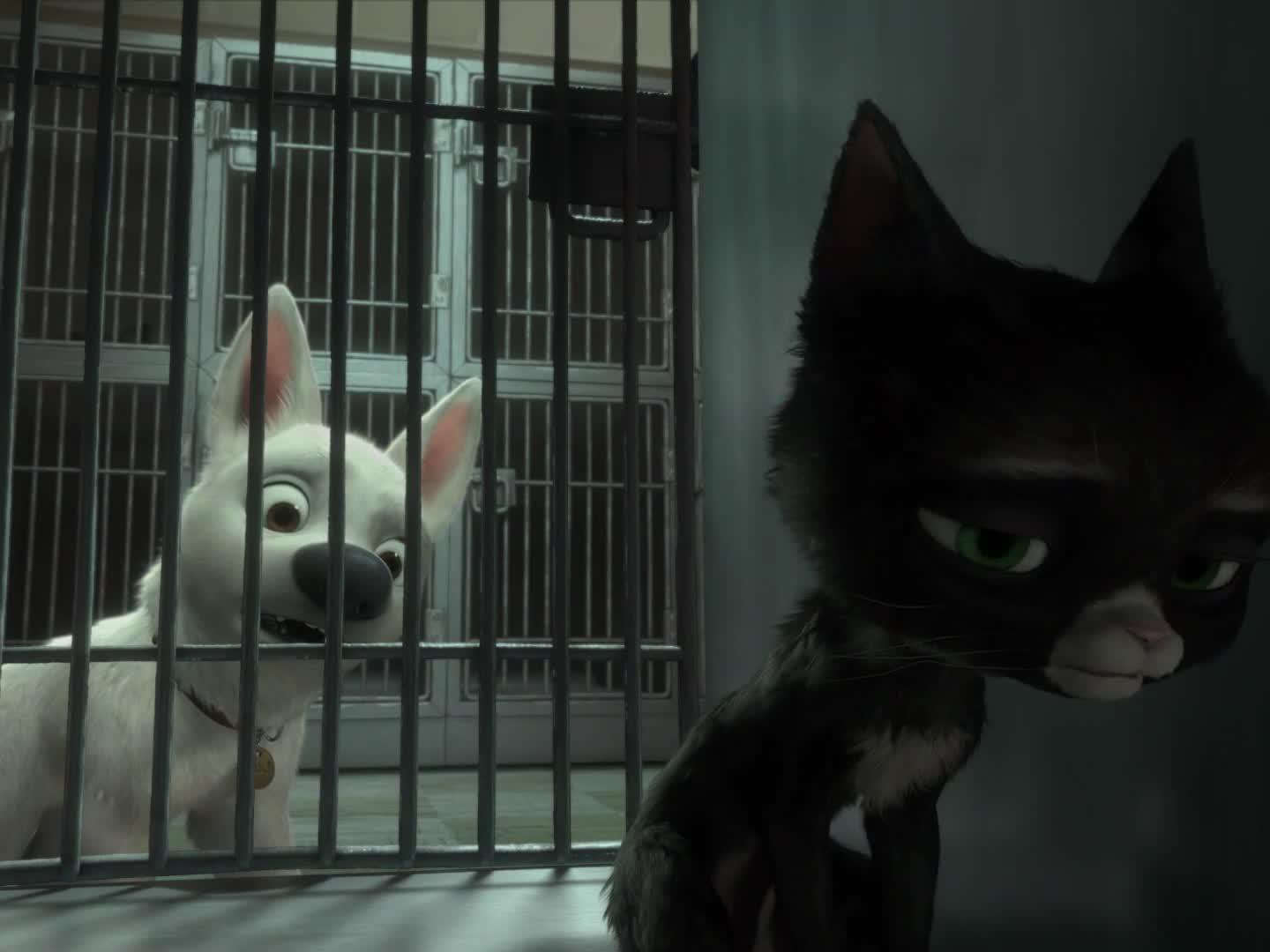 Mittens? Bolt? Wh - wha - what are you doing here? I'm busting you out ...
