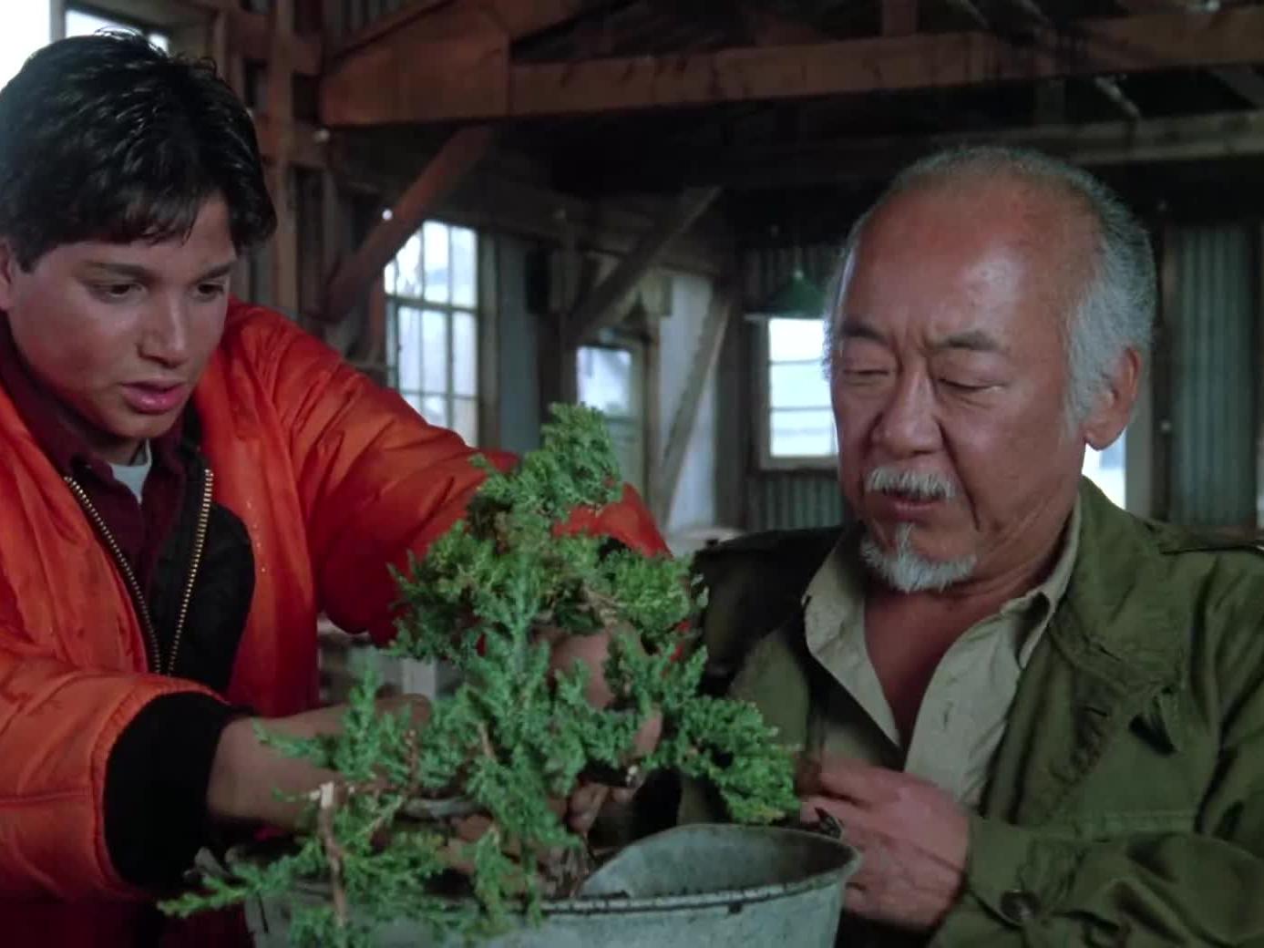 Mr. Miyagi? Will it be okay? Depend. If root strong, tree survive ...