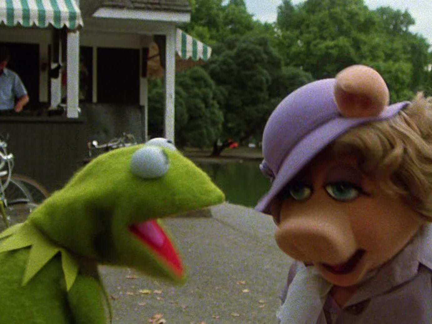 Please don't go. Kermit, please. Oh, please, I'm sorry. Please! Please ...