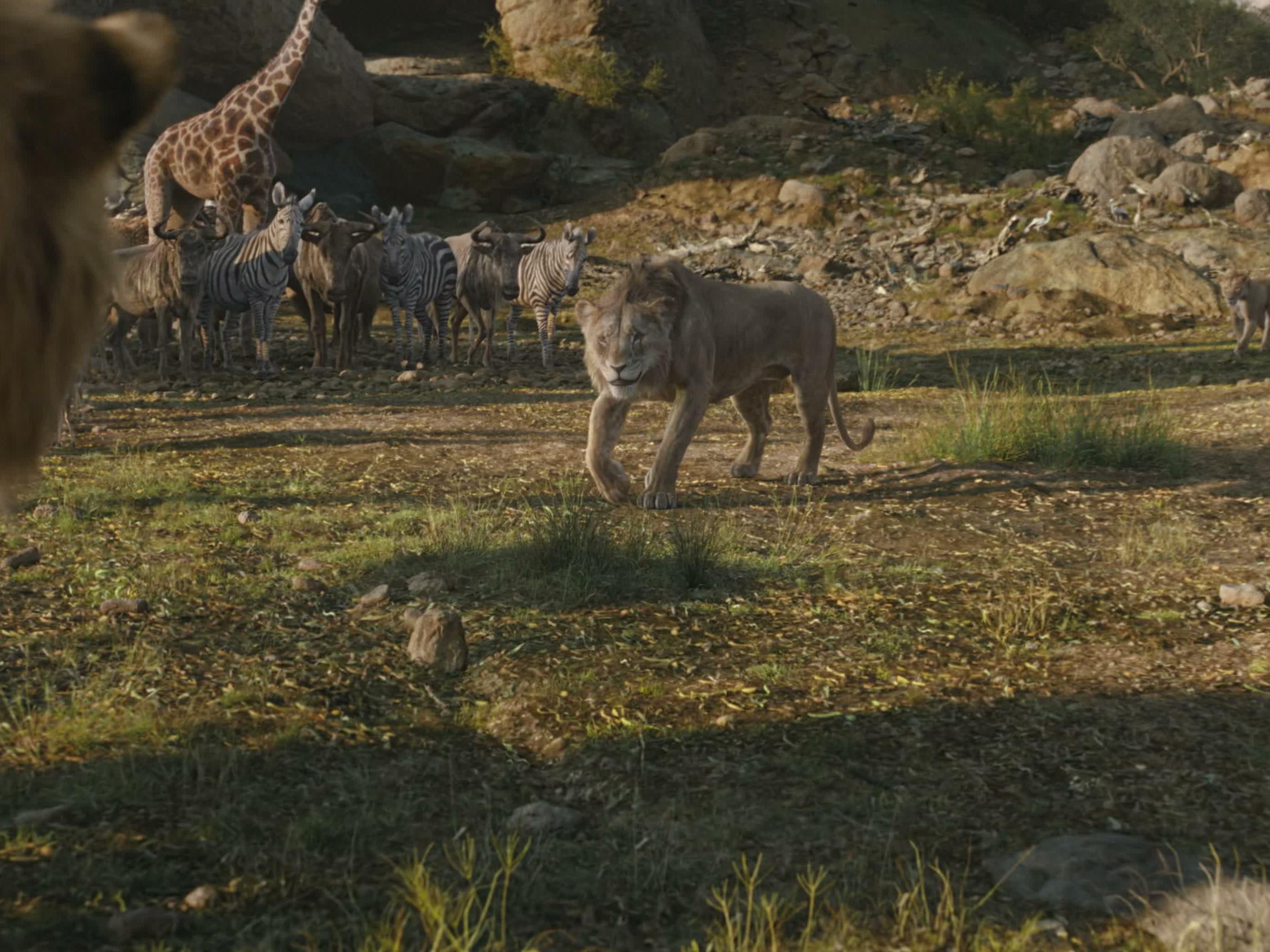 Mufasa, please forgive me. You must banish him, Sire. As long as I am ...