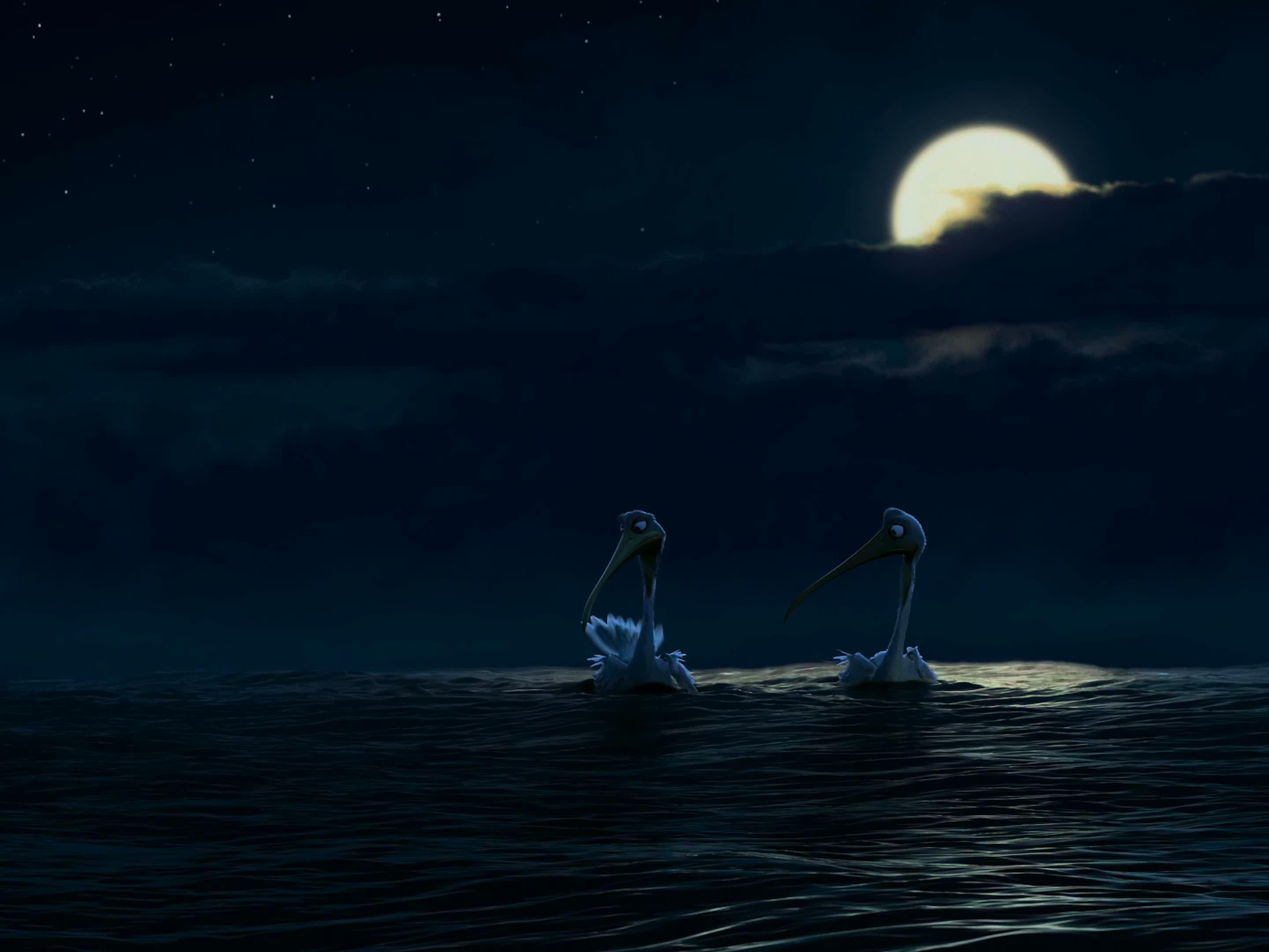 Nice. - Finding Nemo | Clip.Cafe