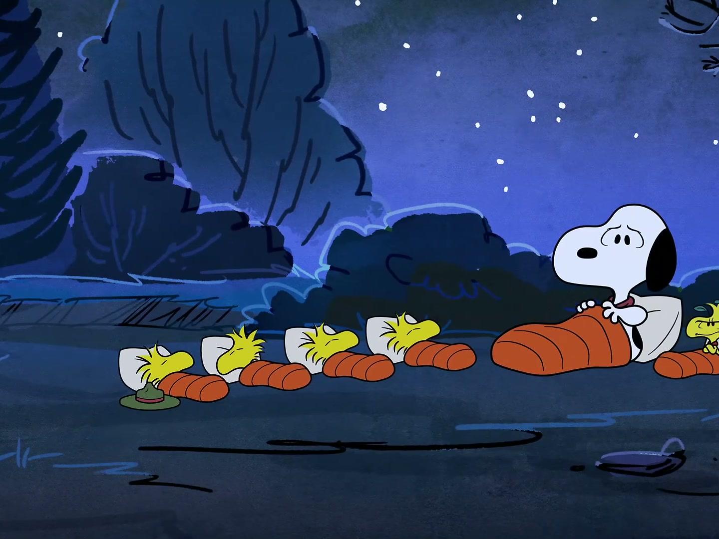 ""Of course, when it comes to camping, you really can't beatsleeping ...