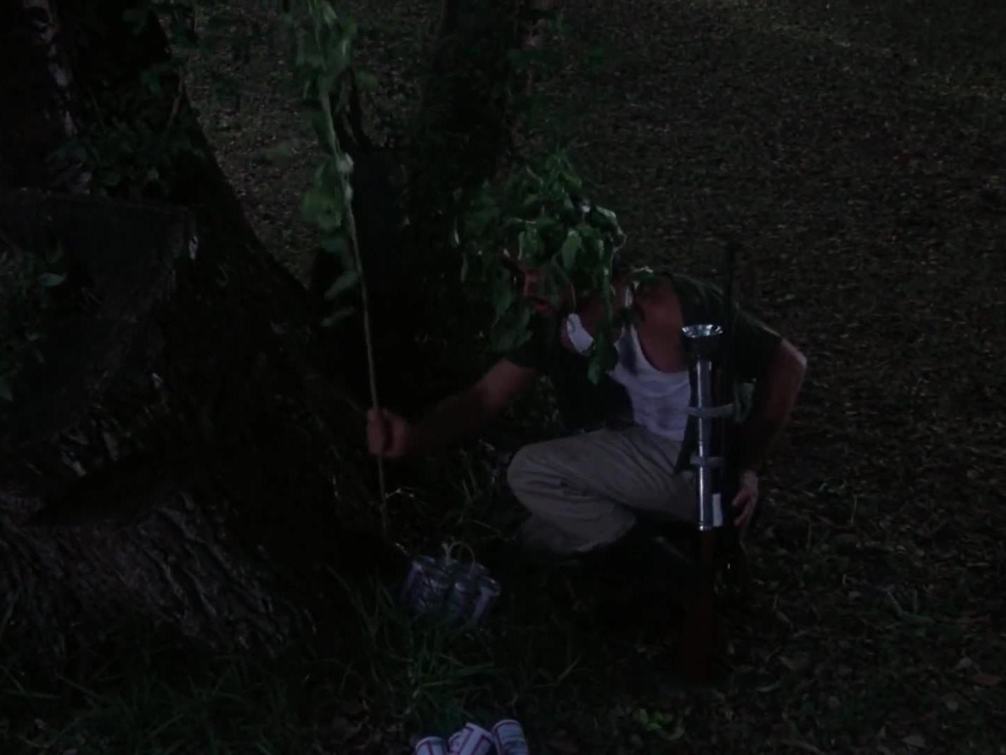 Pay no attention to that bushmoving around there by that tree. lt's ...