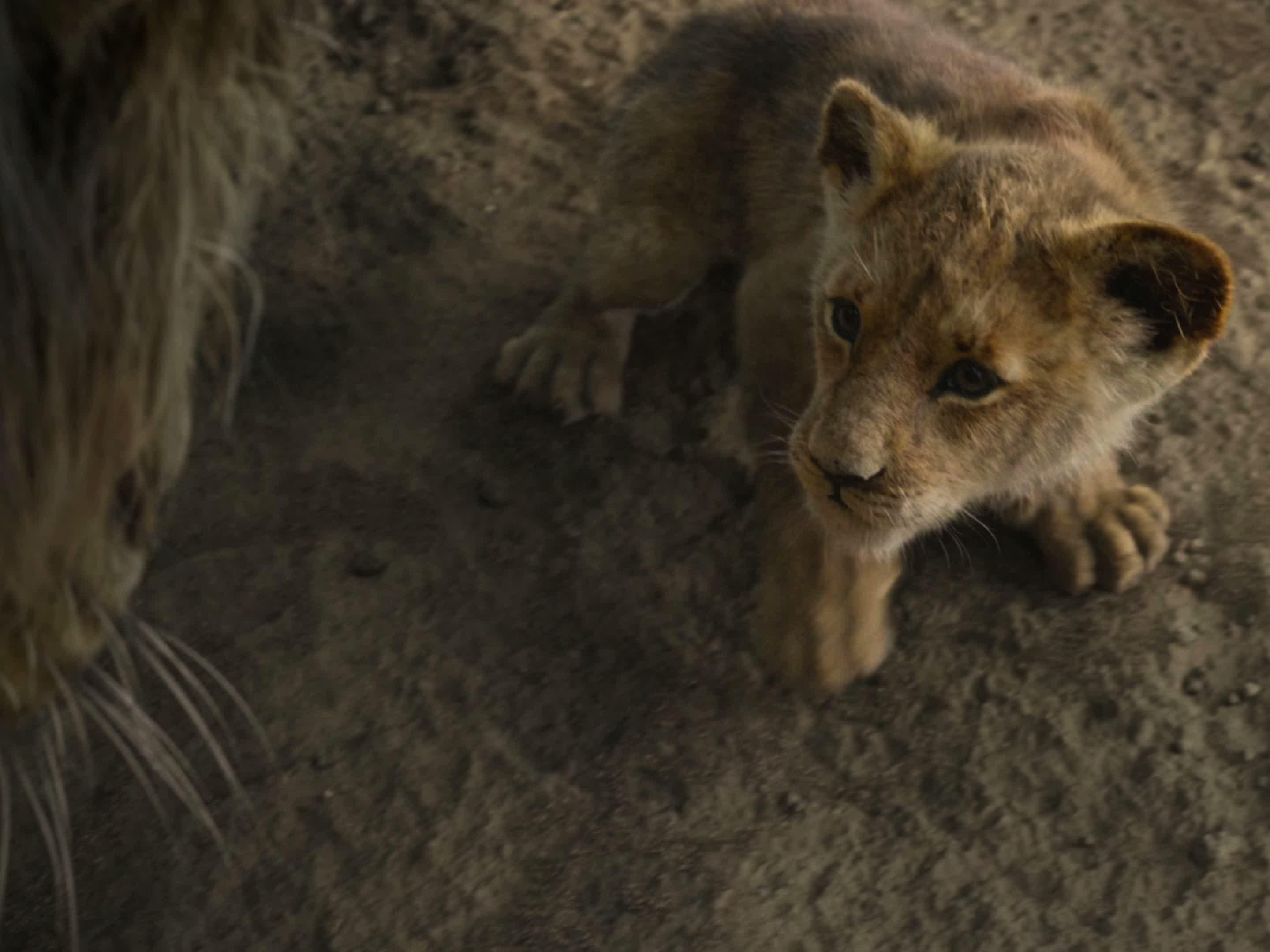 Run away Simba, and NEVER return! - The Lion King | Clip.Cafe