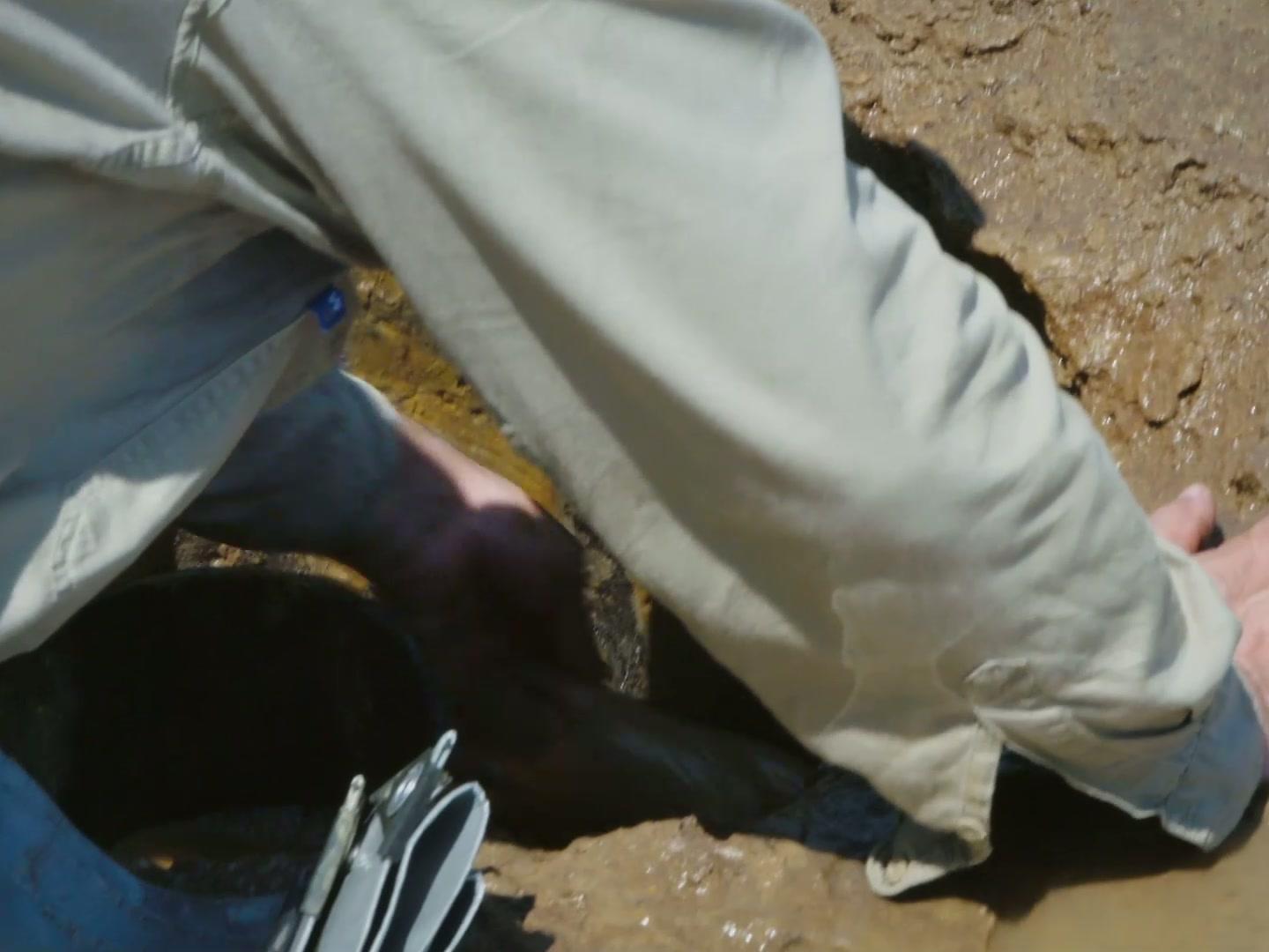 The camera neededto be half buried in mud to get a fiddler crab's eye ...