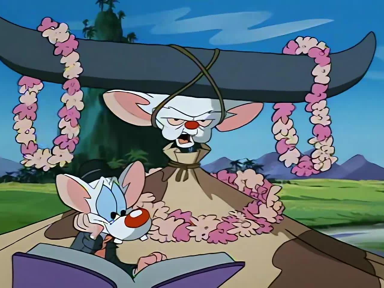 THE IRONYOF IT ALL, PINKY. YEARS OF TRYINGTO TAKE OVER THE WORLD, AND ...