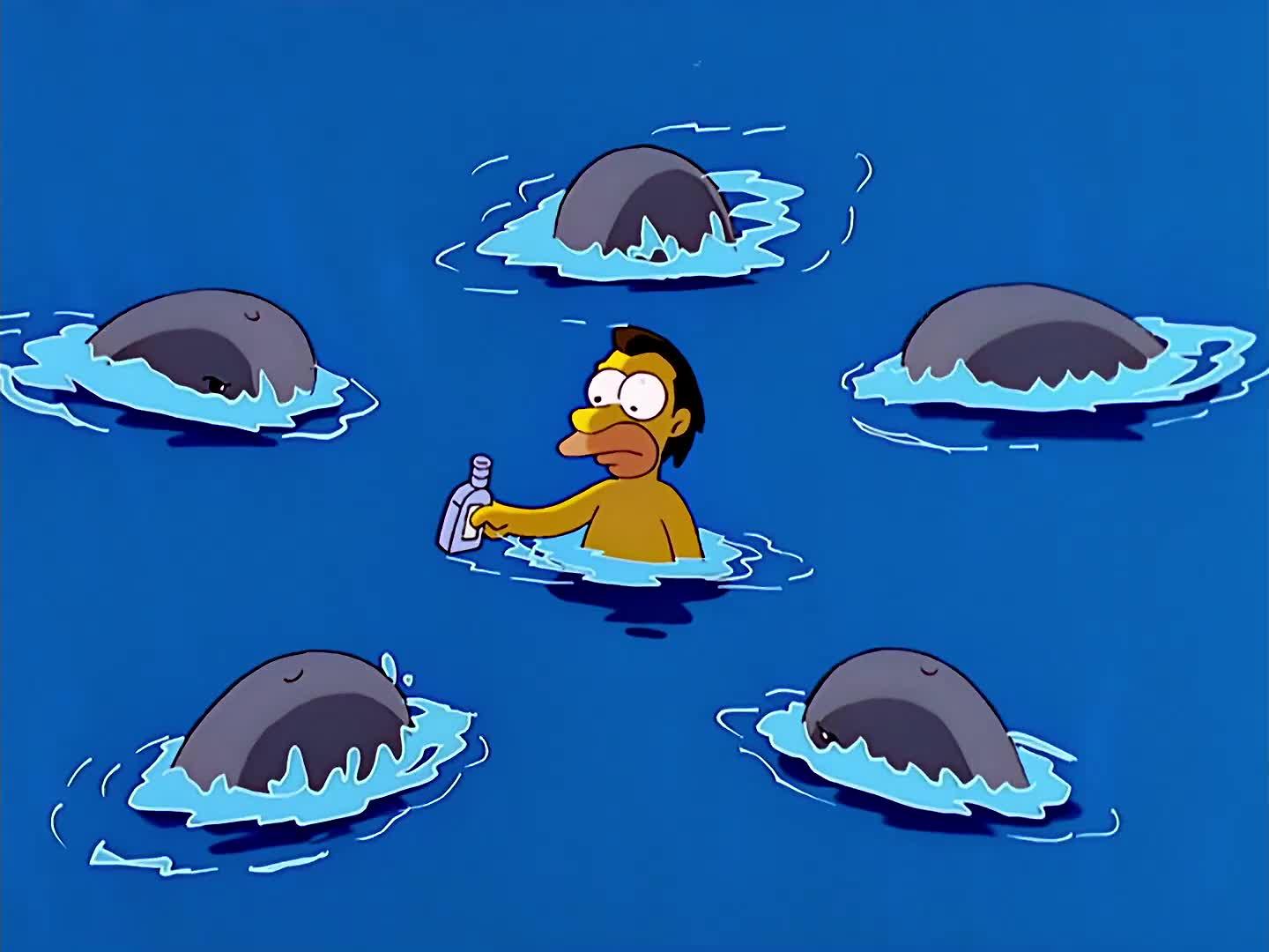 "Uh-oh. Sharks. The assassins of the sea. -(chittering)-Ooh. Hey, you ...