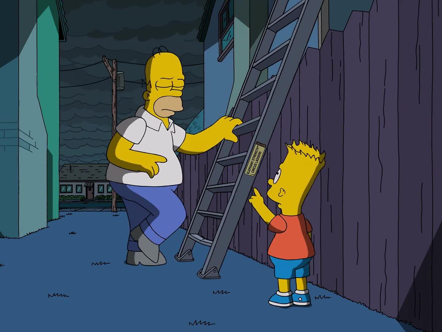 Who's this ladder made for, babies? D'oh! - You'll have to climb it ...