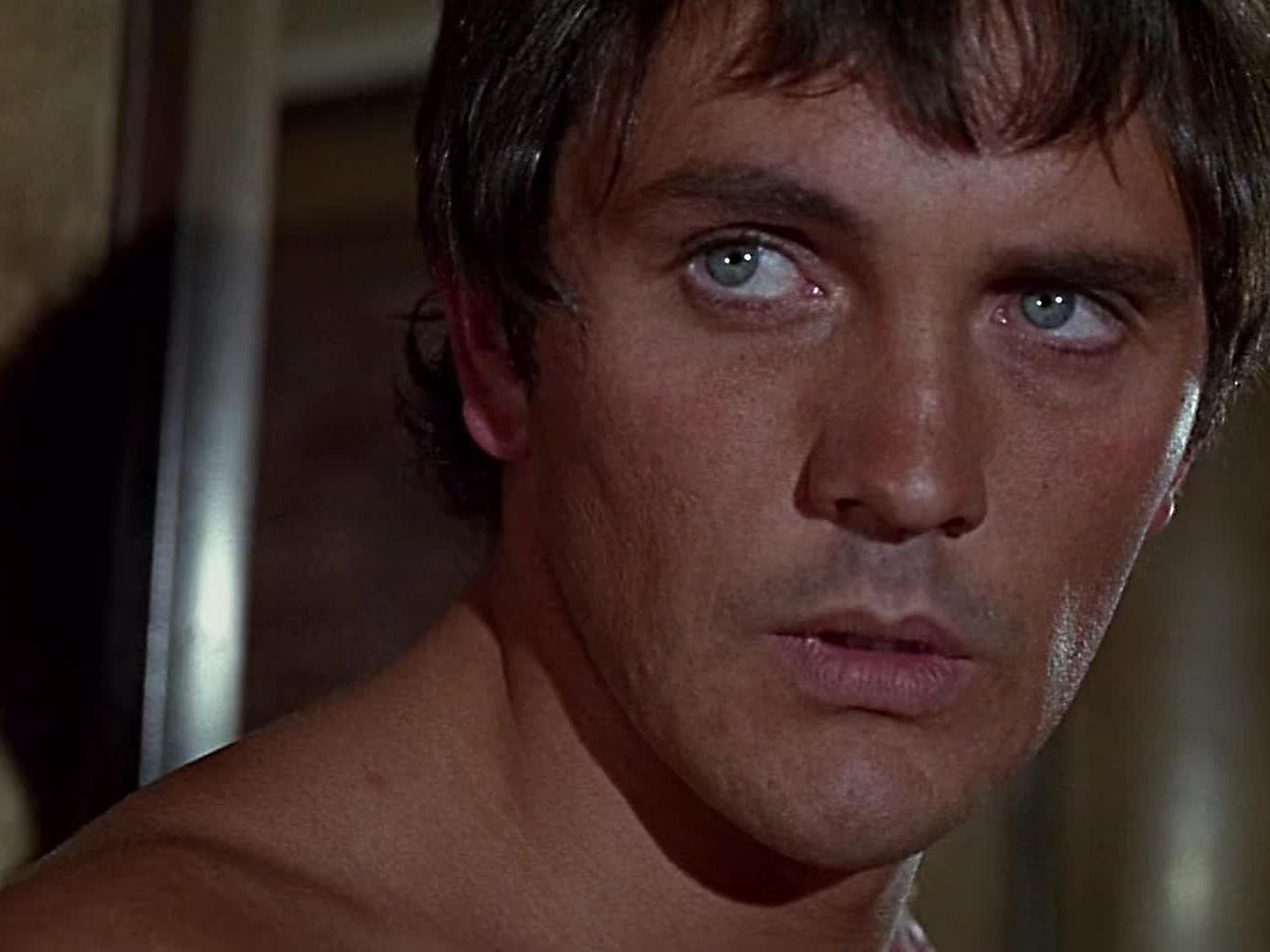 Whose the bird with the beady-eyes? - Modesty Blaise | Clip.Cafe