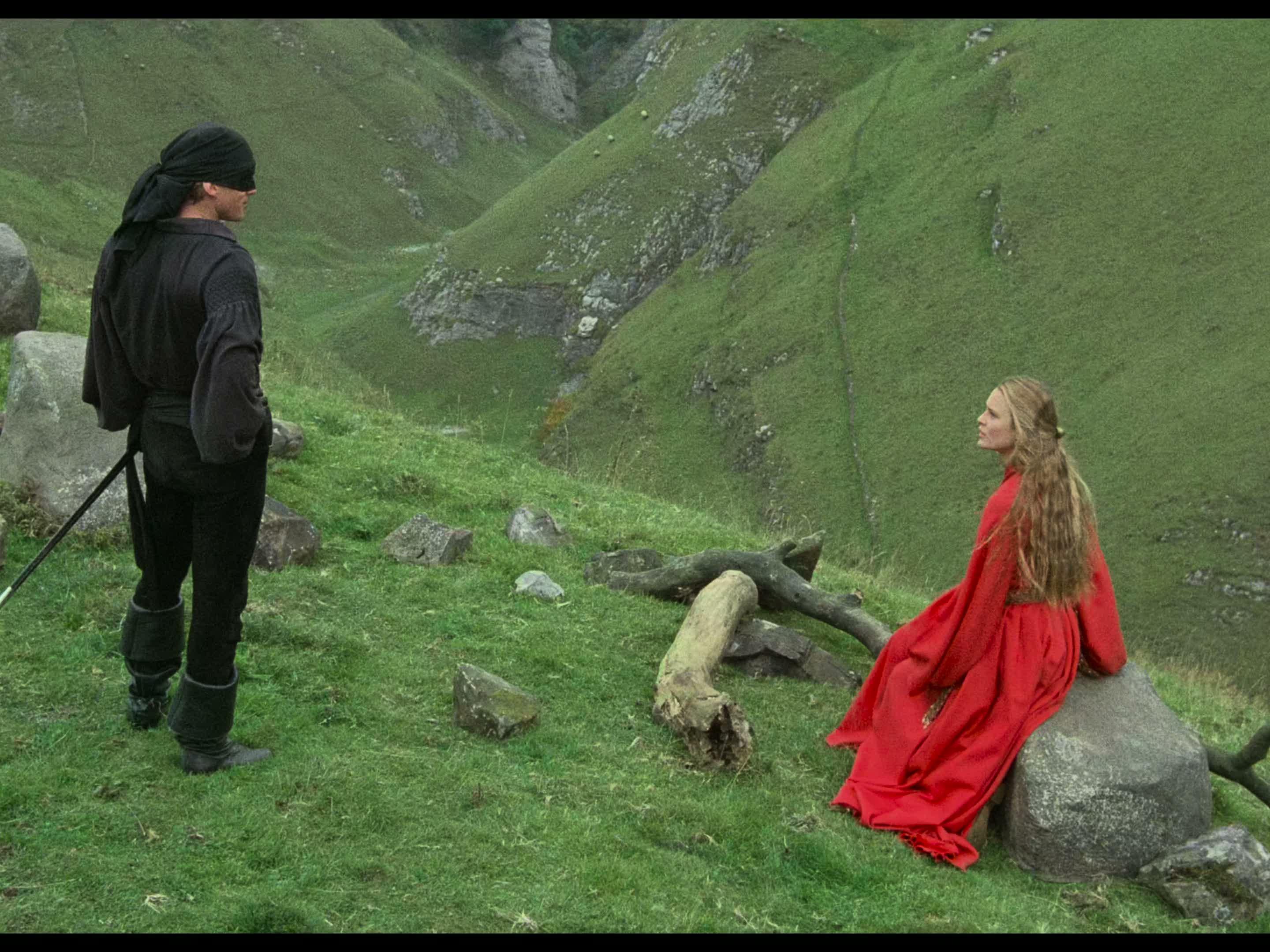 It's possible. I kill a lot of people. - The Princess Bride | Clip.Cafe
