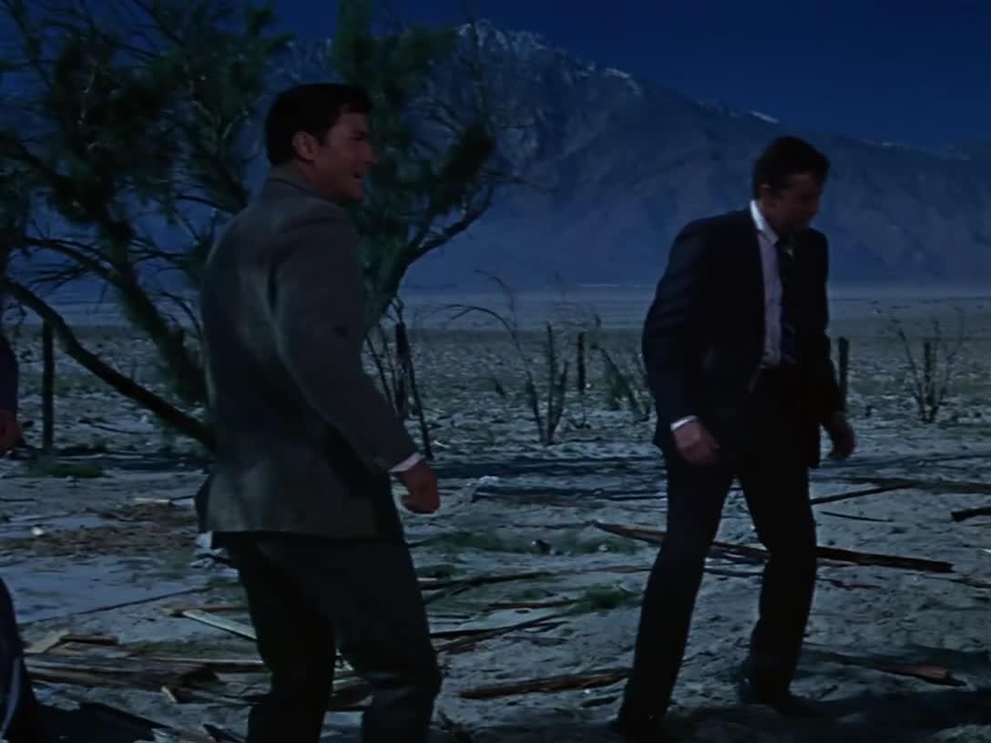 Zebra to X-Ray.Zebra to X-Ray, come in. Something's wrong,Cavanaugh ...