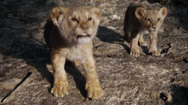 - (GROWLS)- (MUFASA ROARS) (MUFASA CONTINUES ROARING) - The Lion King ...