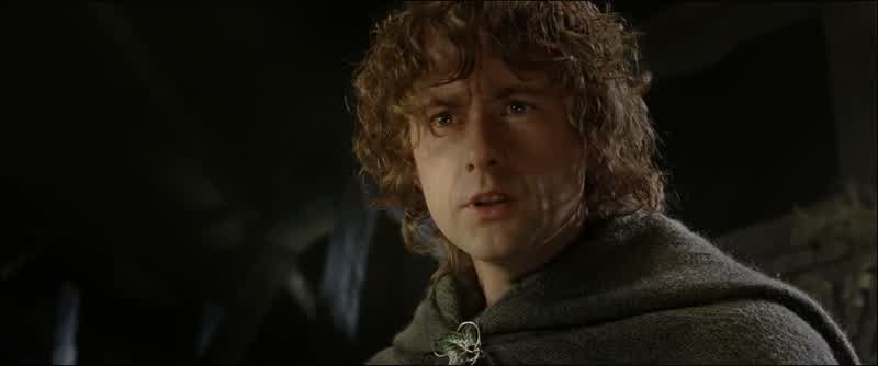 I know you've run out.You smoke too much, Pippin. - The Lord of the ...