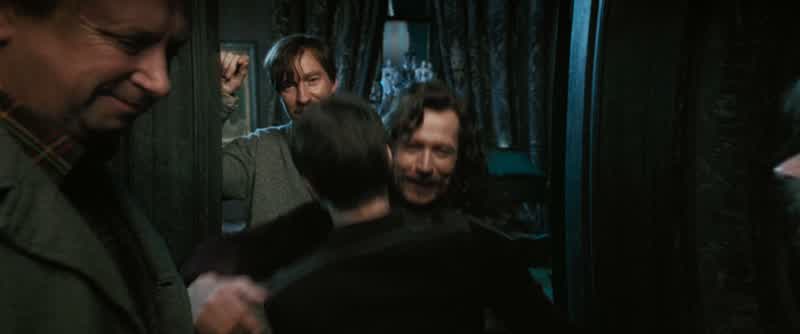 I may vomit. - Harry Potter and the Order of the Phoenix | Clip.Cafe