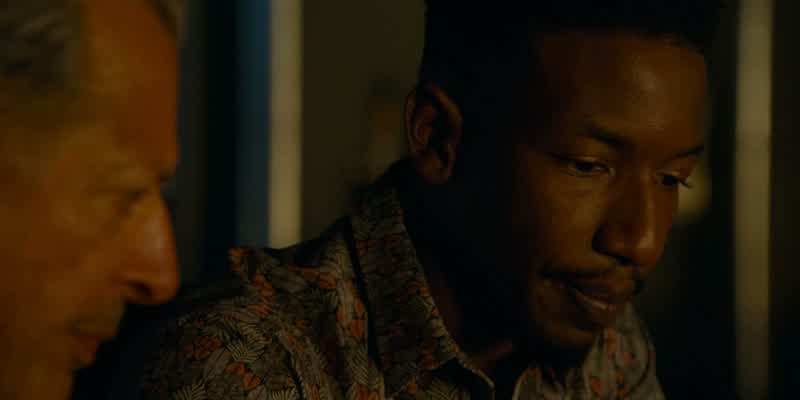 Ian, be specific. - Jurassic World: Dominion | Clip.Cafe
