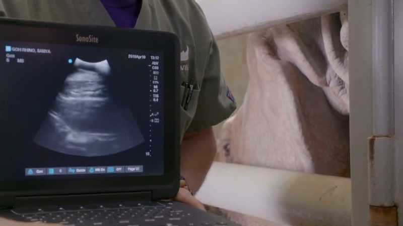 I'm trying actually to getjust the right angle to see if we can seea ...