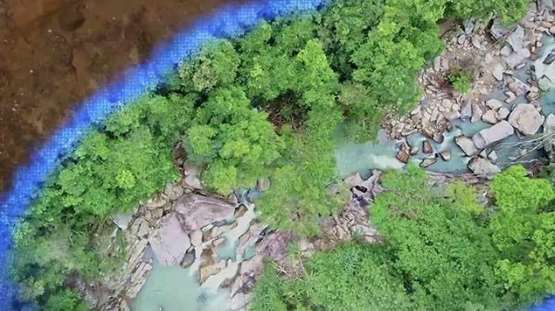 IN THE CRETACEOUS,AN ANCIENT WATERWAY DEPOSITEDCOUNTLESS FOSSILS HERE ...
