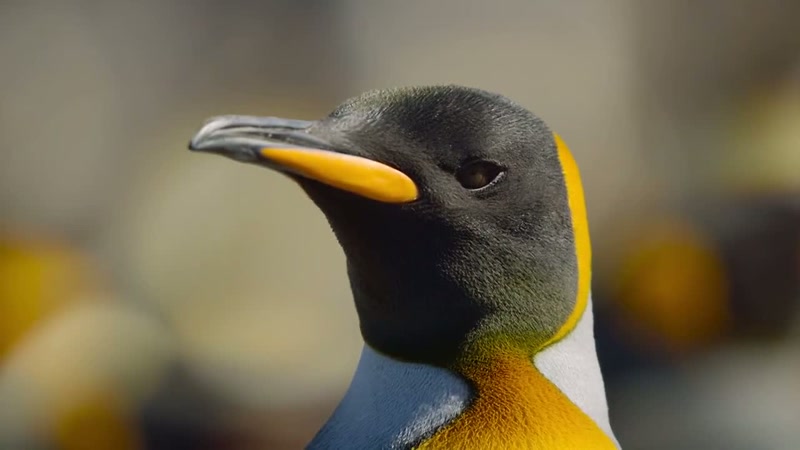 "It's known asthe cocktail party effect." - A Year on Planet Earth quote