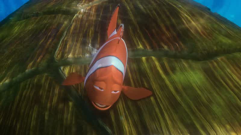 Man, no hurling on the shell.I just waxed it. - Finding Nemo | Clip.Cafe