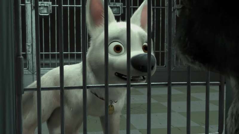 Mittens? Bolt? Wh - wha - what are you doing here? I'm busting you out ...