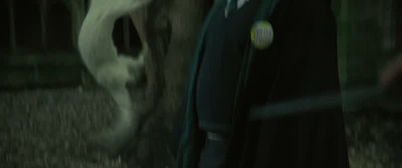 Technically it's a ferret. - Harry Potter and the Goblet of Fire | Clip ...