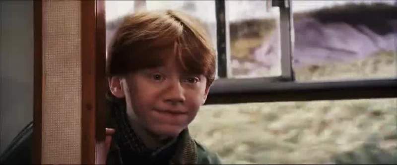 I'm Hermione Granger and you're Harry Potter! And you are? Ron Weasley ...