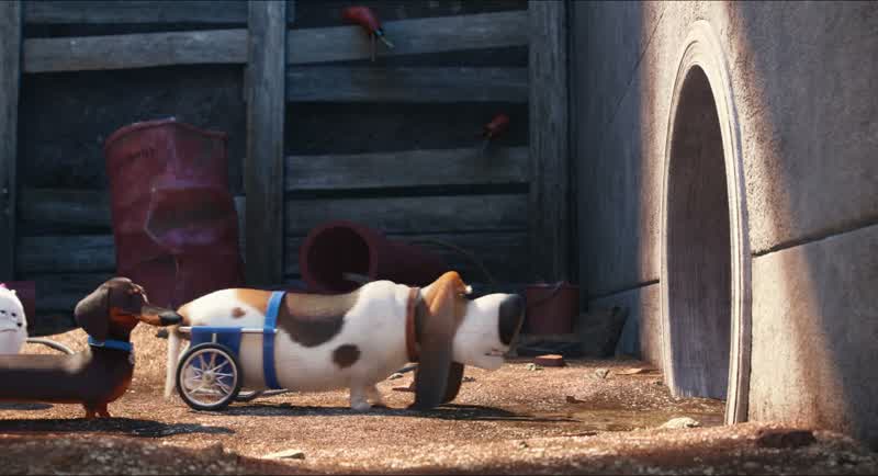 It's poo-poo with a dash of caca. - The Secret Life of Pets | Clip.Cafe
