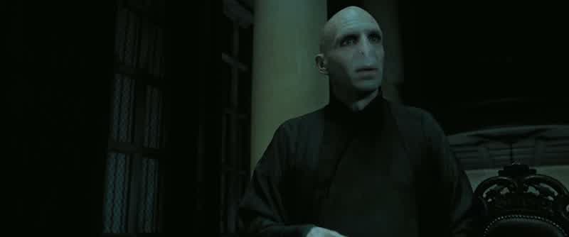 We can wound,but not fatally harm one another. - Harry Potter and the ...