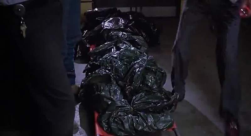 "What the hell are in those bags? Uh... rabid weasels. What? What the ...
